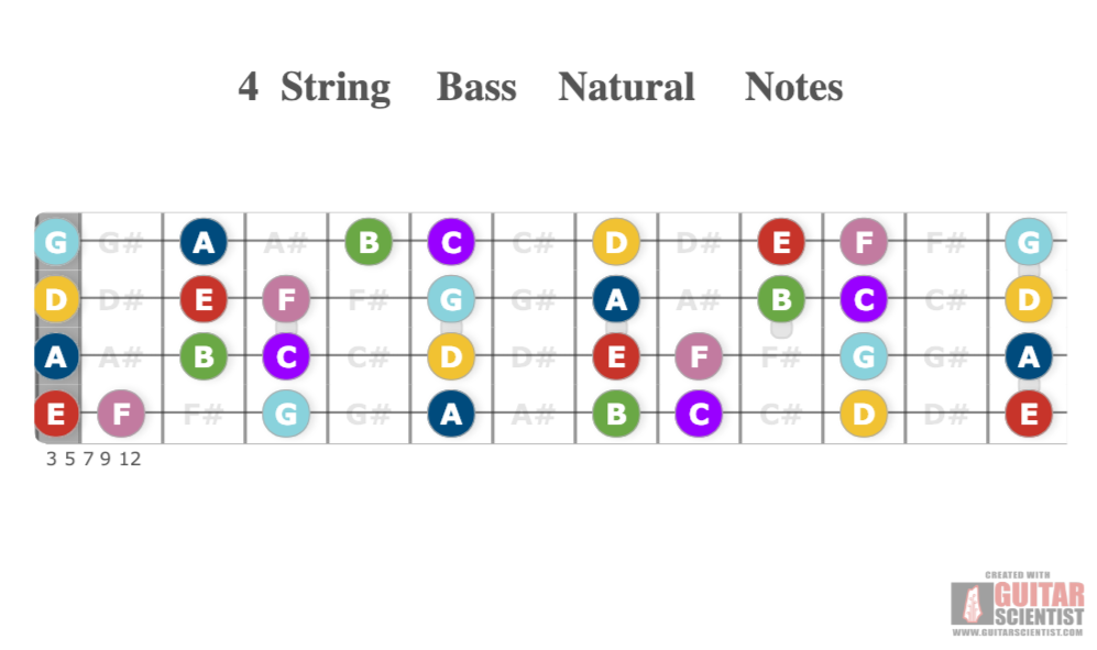 Guitar Scientist The Most Powerful Guitar Diagrams Editor Online
